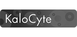 Home - NYBC Ventures